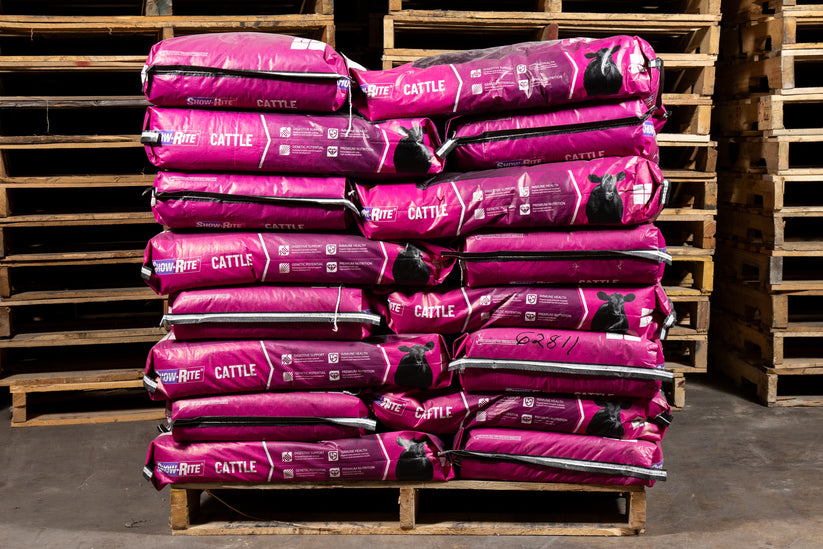 Show-Rite® Throttled Up Cattle Feed – Terra Products Company